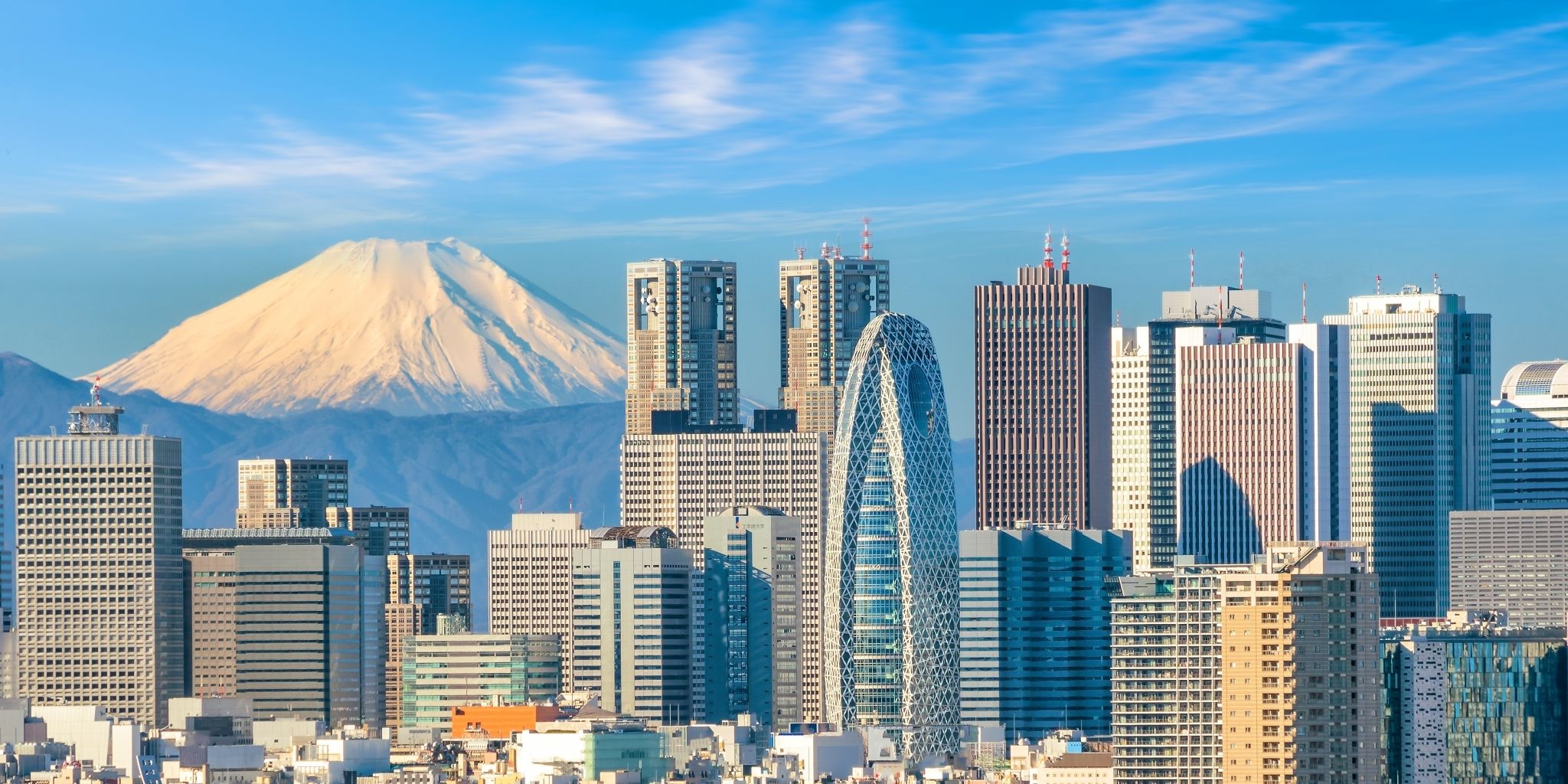 Saga Welco | Tokyo, Japan